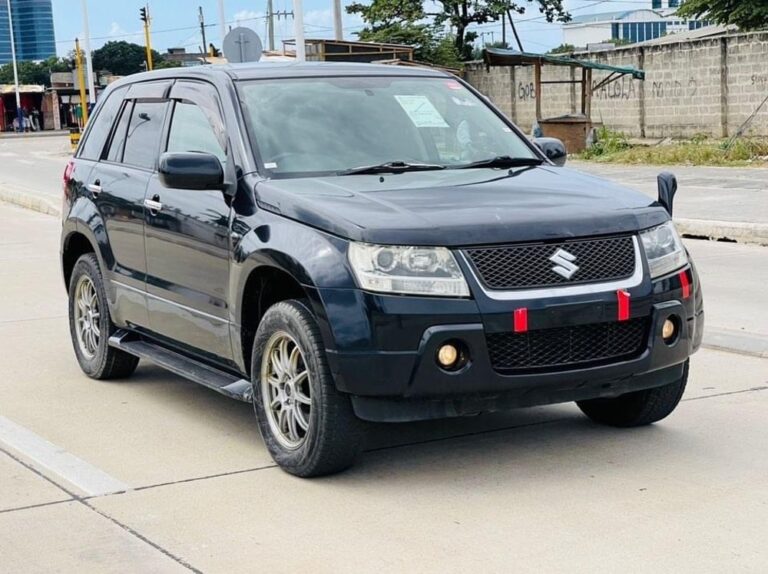 TMS Traffic Check Tanzania | How to Look Up Fines, Control Numbers, and ...